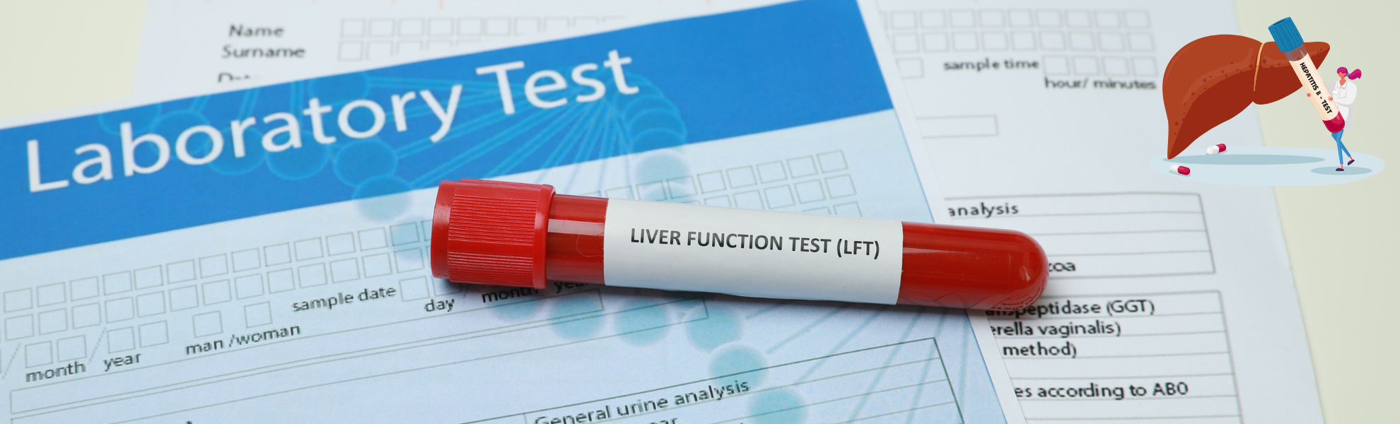 Liver Function Tests (LFTs) - Nizzocare